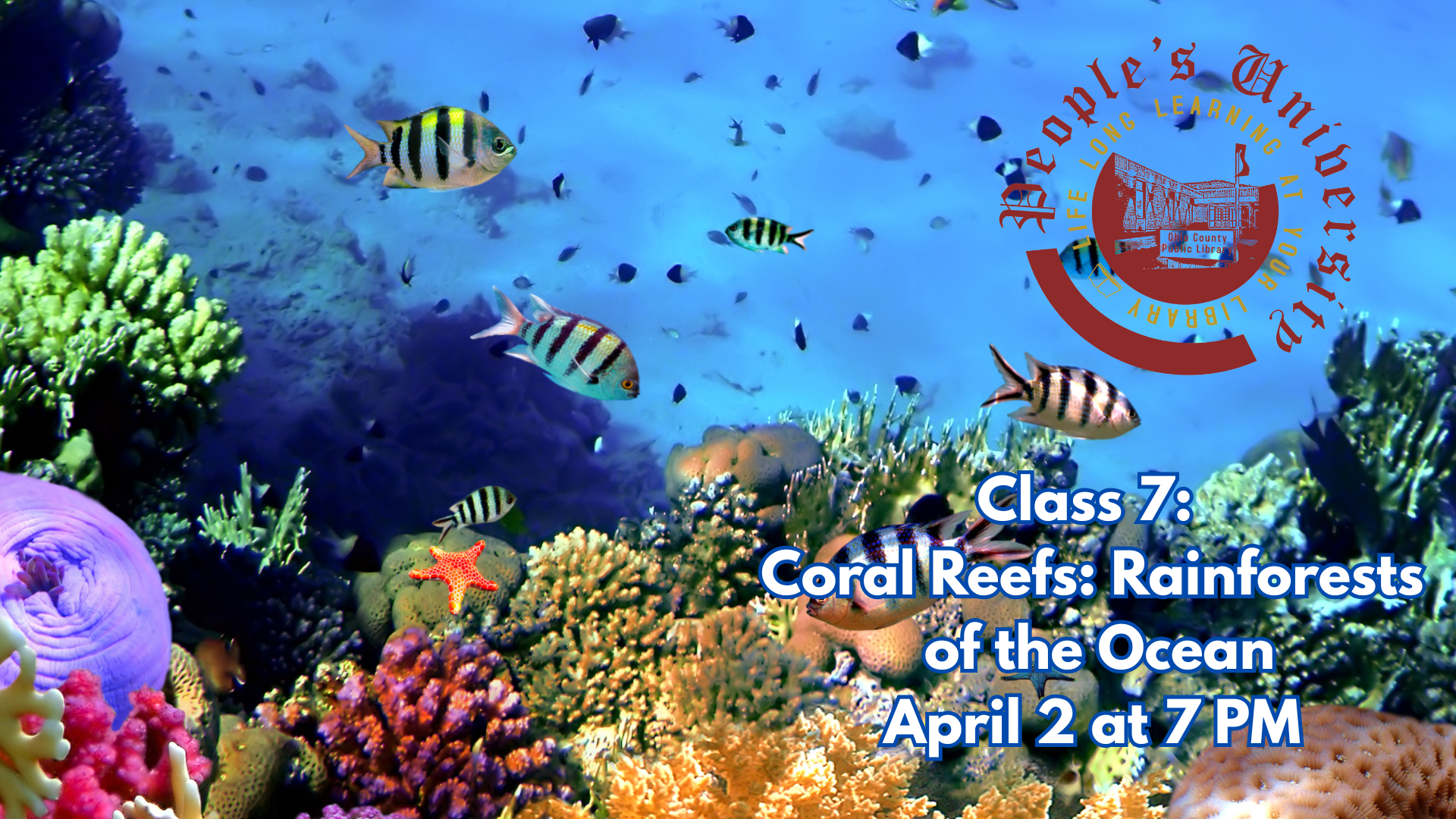 People's U., Marine Biology, Class 7: Coral Reefs, Rainforests of the ...